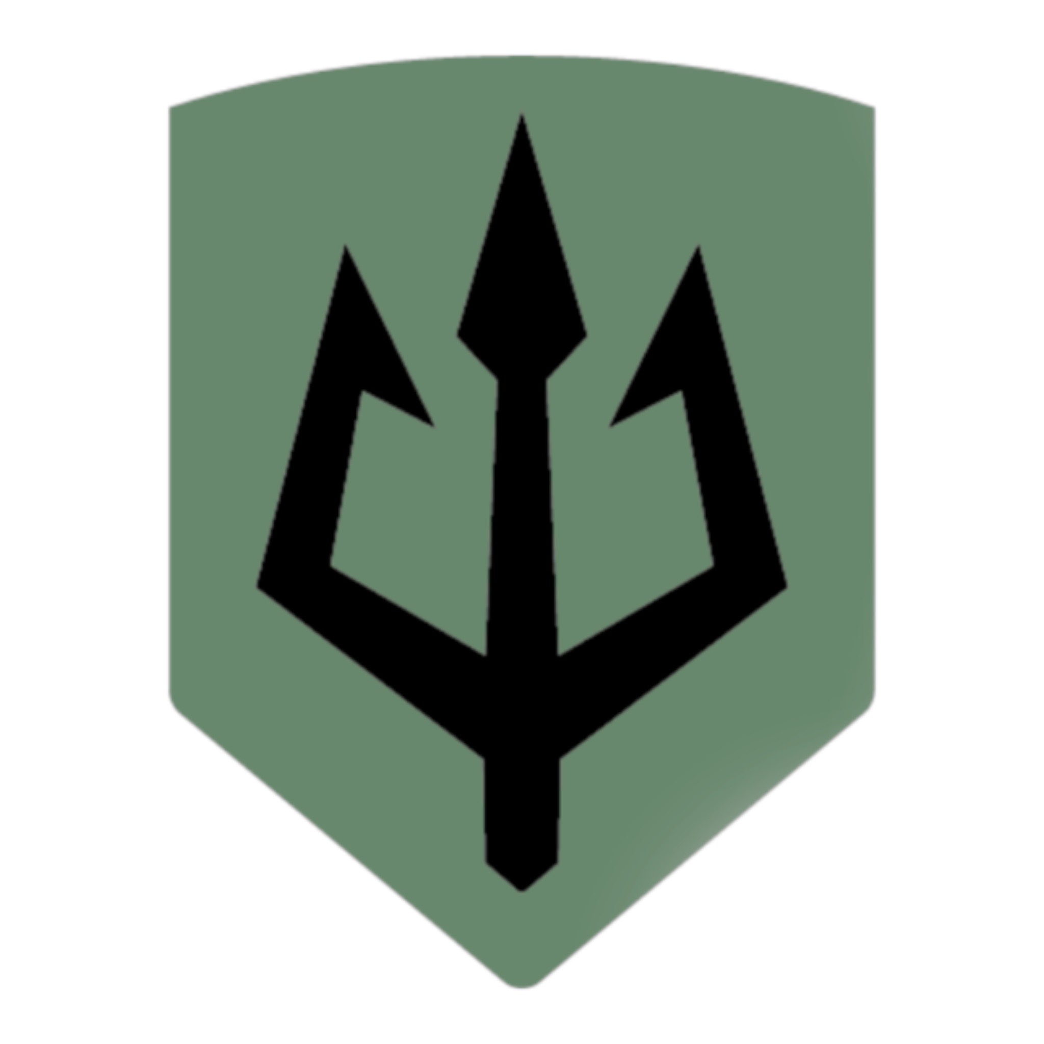 Tactical Gears Onlineshop taktische Ausrüstung - BLACK TRIDENT® - CHEST ...